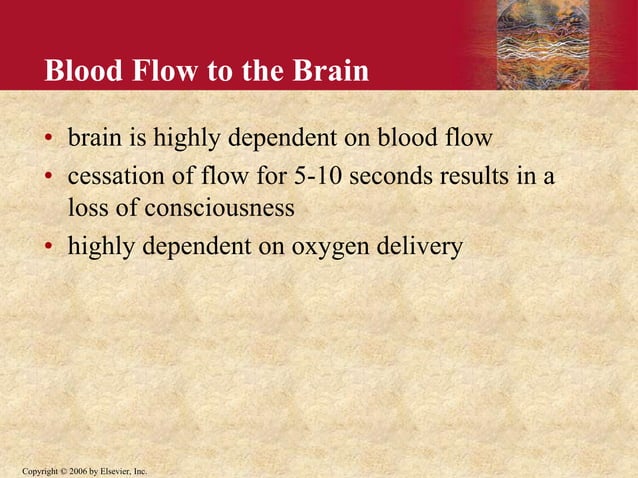 61.Cerebral blood flow, the cerebrospinal fluid and brain me.ppt ...