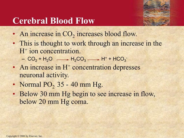 61.Cerebral blood flow, the cerebrospinal fluid and brain me.ppt ...