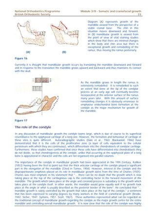 growth theories of crainofacial skeletal | PDF