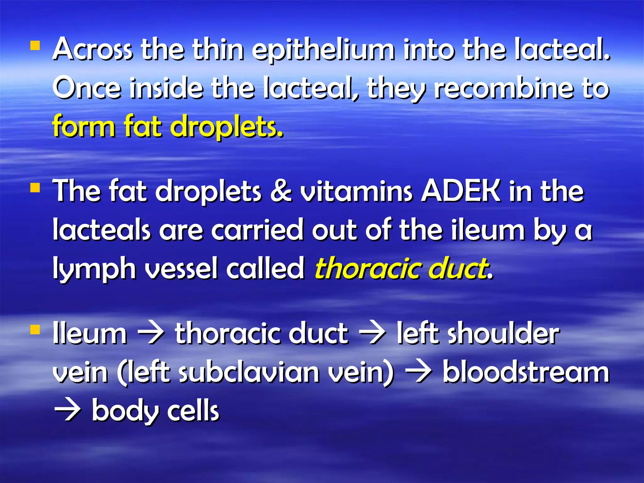 form 4 biology chap6 pt5 | PPT | Chemistry | Science