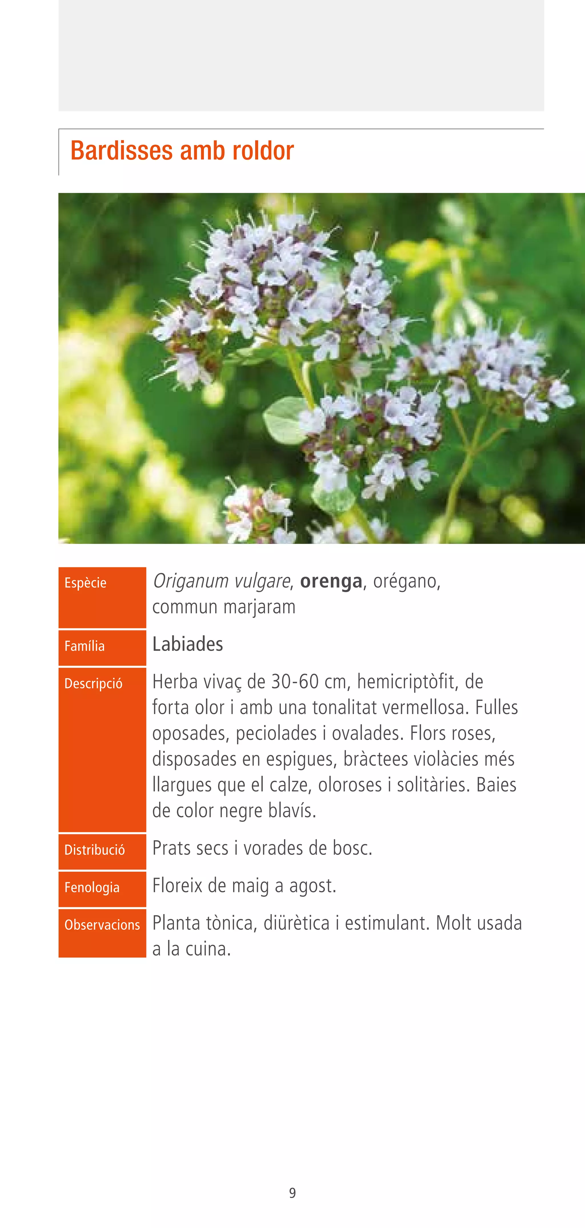 Plantes de matollars i boscos - Parc de la Serralada de Marina | PDF