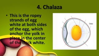 composition of egg, physical composition of ann egg | PPTX