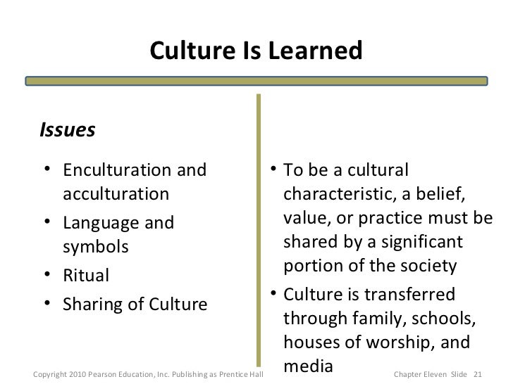 61204335 schiffman-cb10-ppt-11-culture