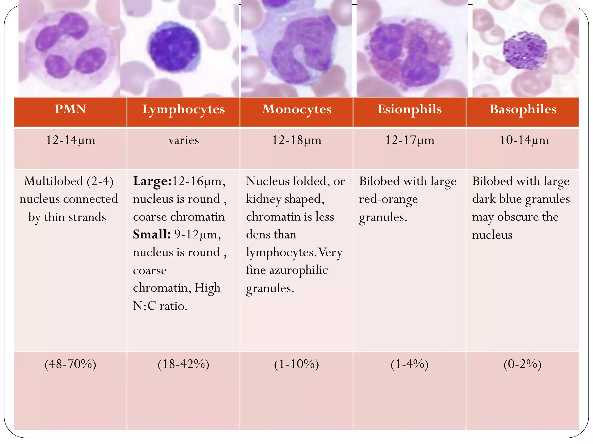 61227_Examine peripheral blood film.pdf
