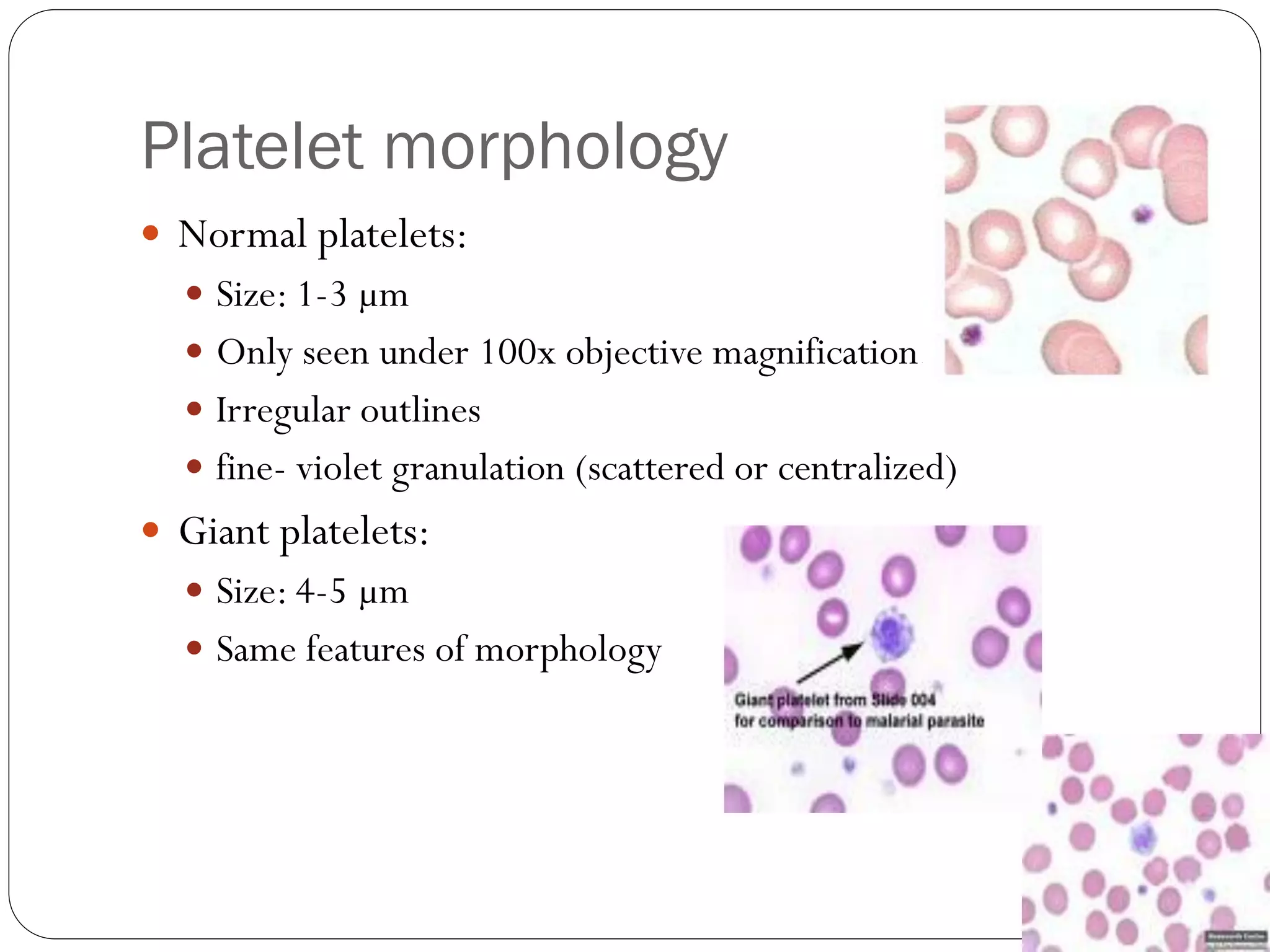 61227_Examine peripheral blood film.pdf