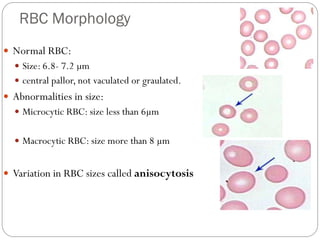 61227_Examine peripheral blood film.pdf