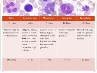 61227_Examine peripheral blood film.pdf