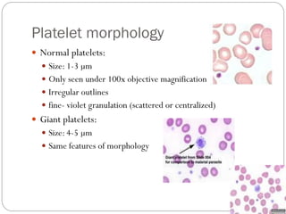 61227_Examine peripheral blood film.pdf