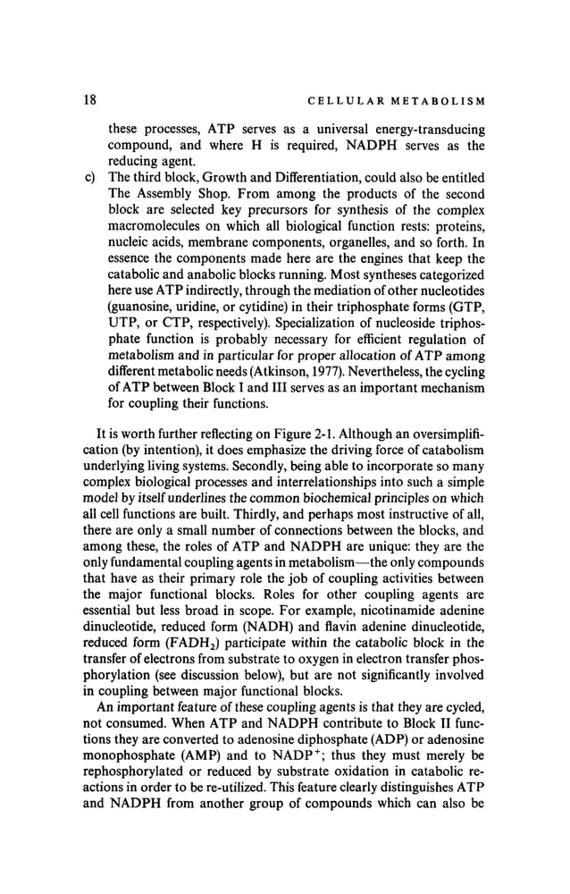 Biochemical Adaptation Pater W. Hochachka | PDF