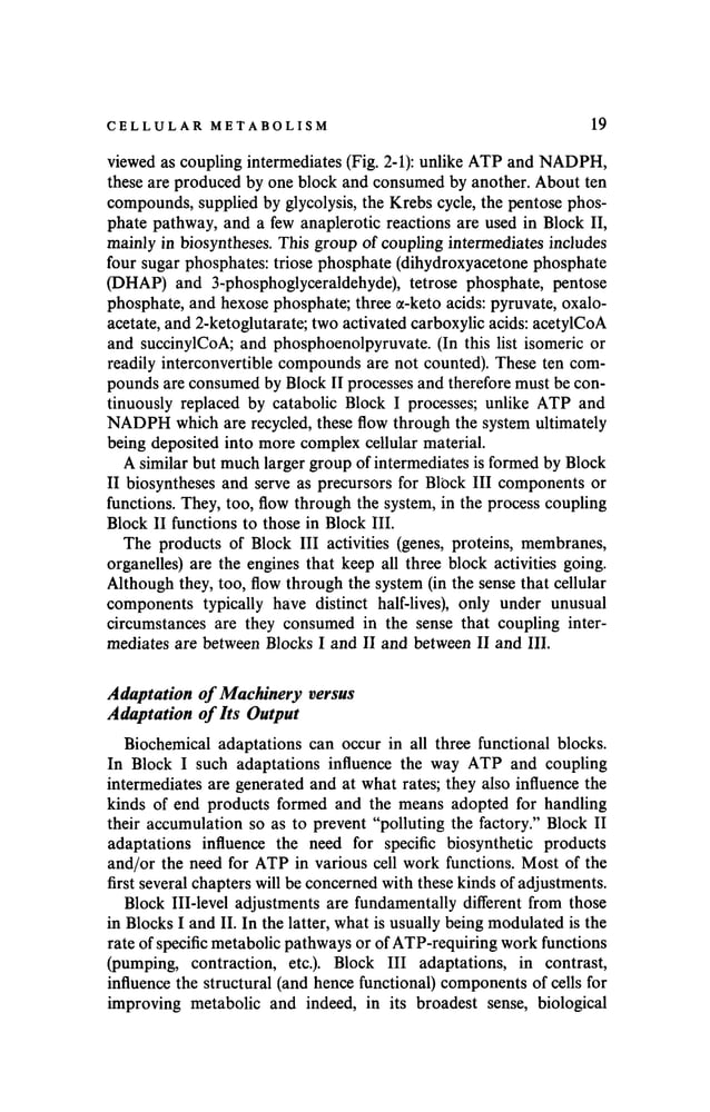 Biochemical Adaptation Pater W. Hochachka | PDF