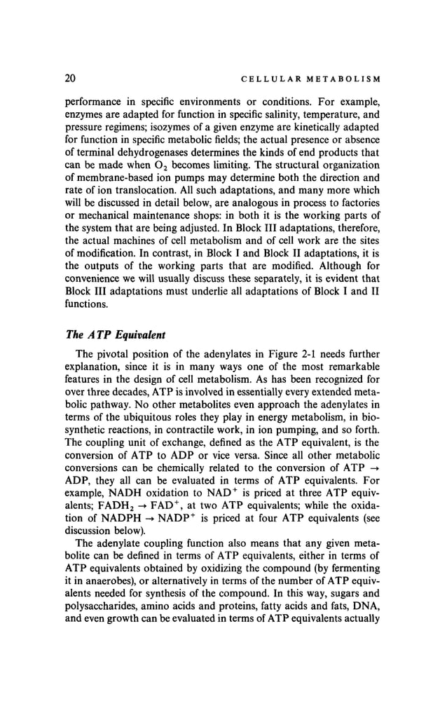 Biochemical Adaptation Pater W. Hochachka | PDF