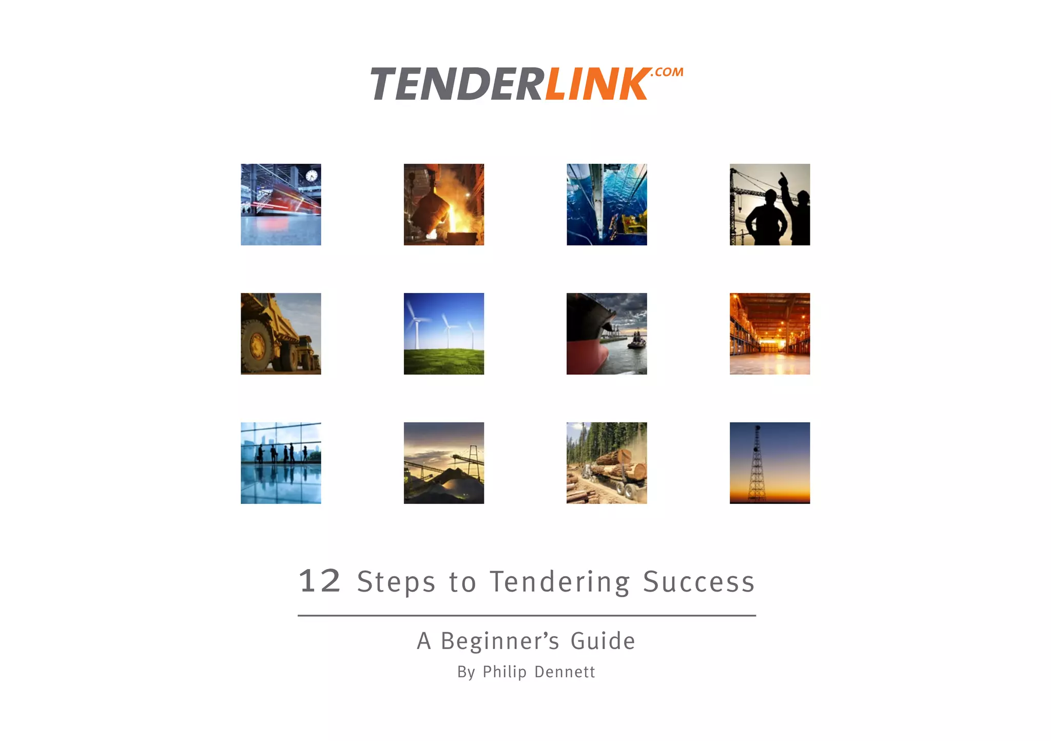 12 Steps to Tendering Success | PDF
