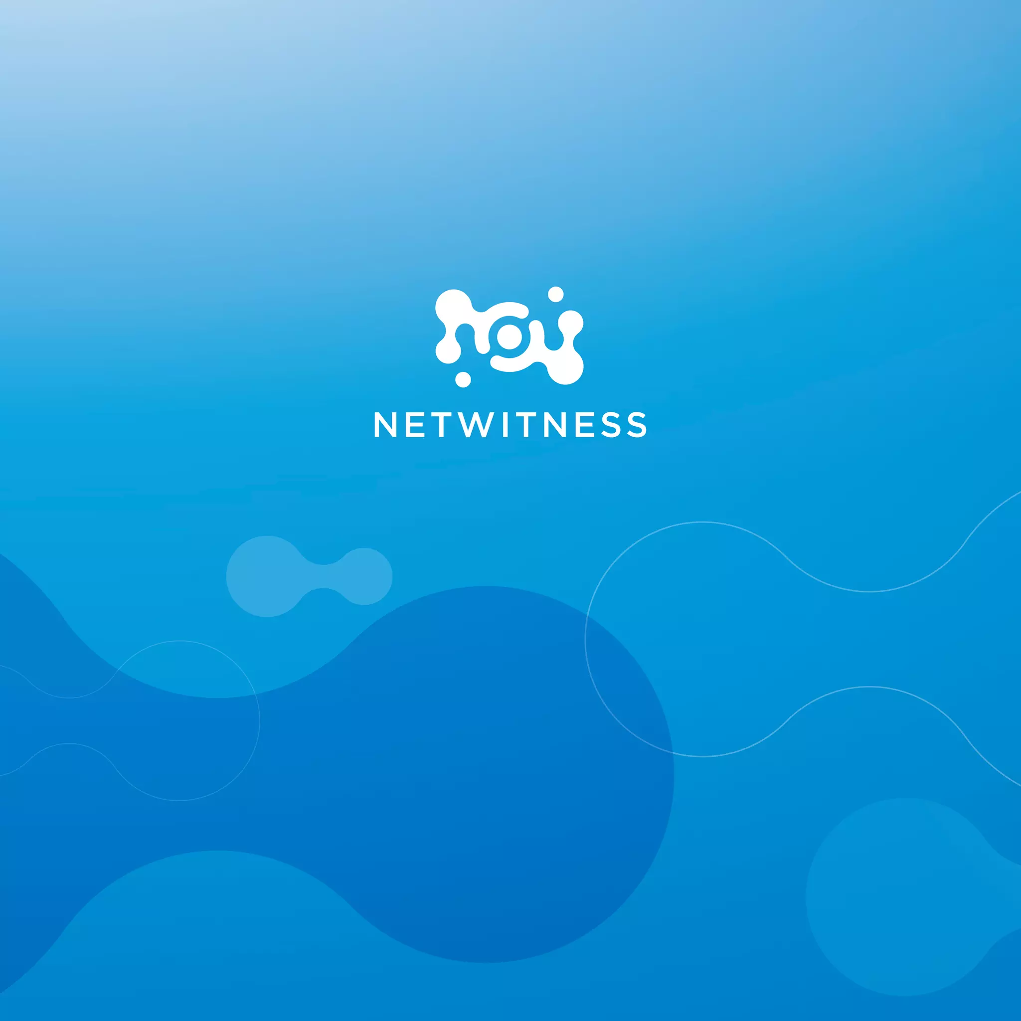 NetWitness Overview | PDF