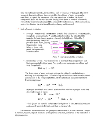 Legionella Paper | PDF