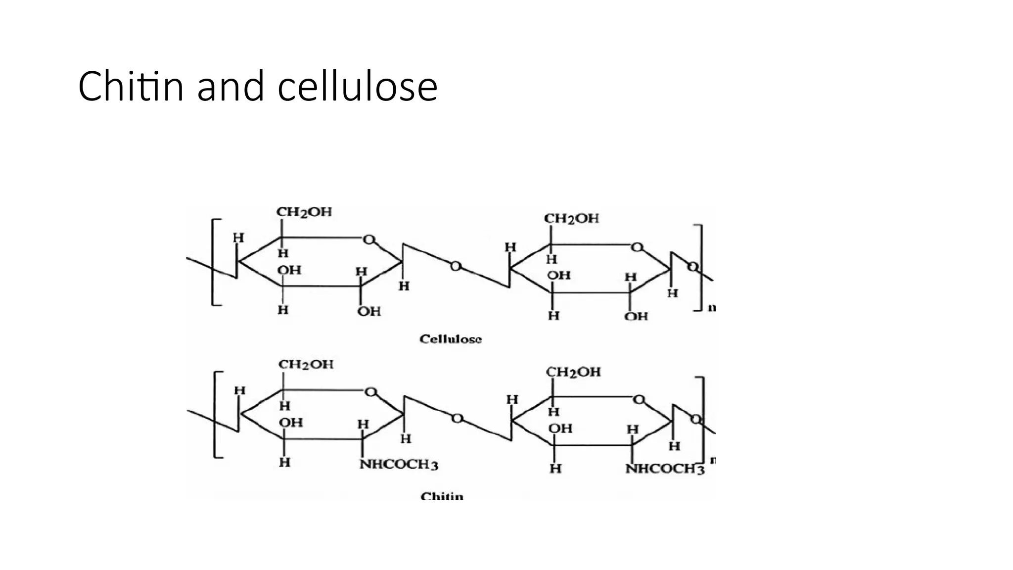 6162490634565-Chitin-and-Chitosan-ppt.pptx