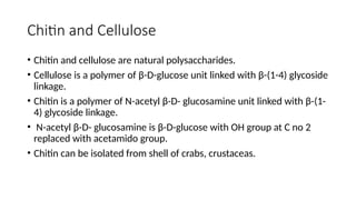 6162490634565-Chitin-and-Chitosan-ppt.pptx