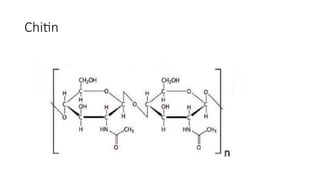 6162490634565-Chitin-and-Chitosan-ppt.pptx