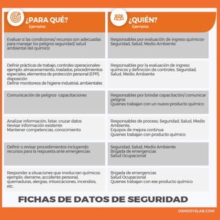 616537598-Fichas-de-Datos-de-Seguridad-FDS-Safety-Data-Sheet-SDS.pdf
