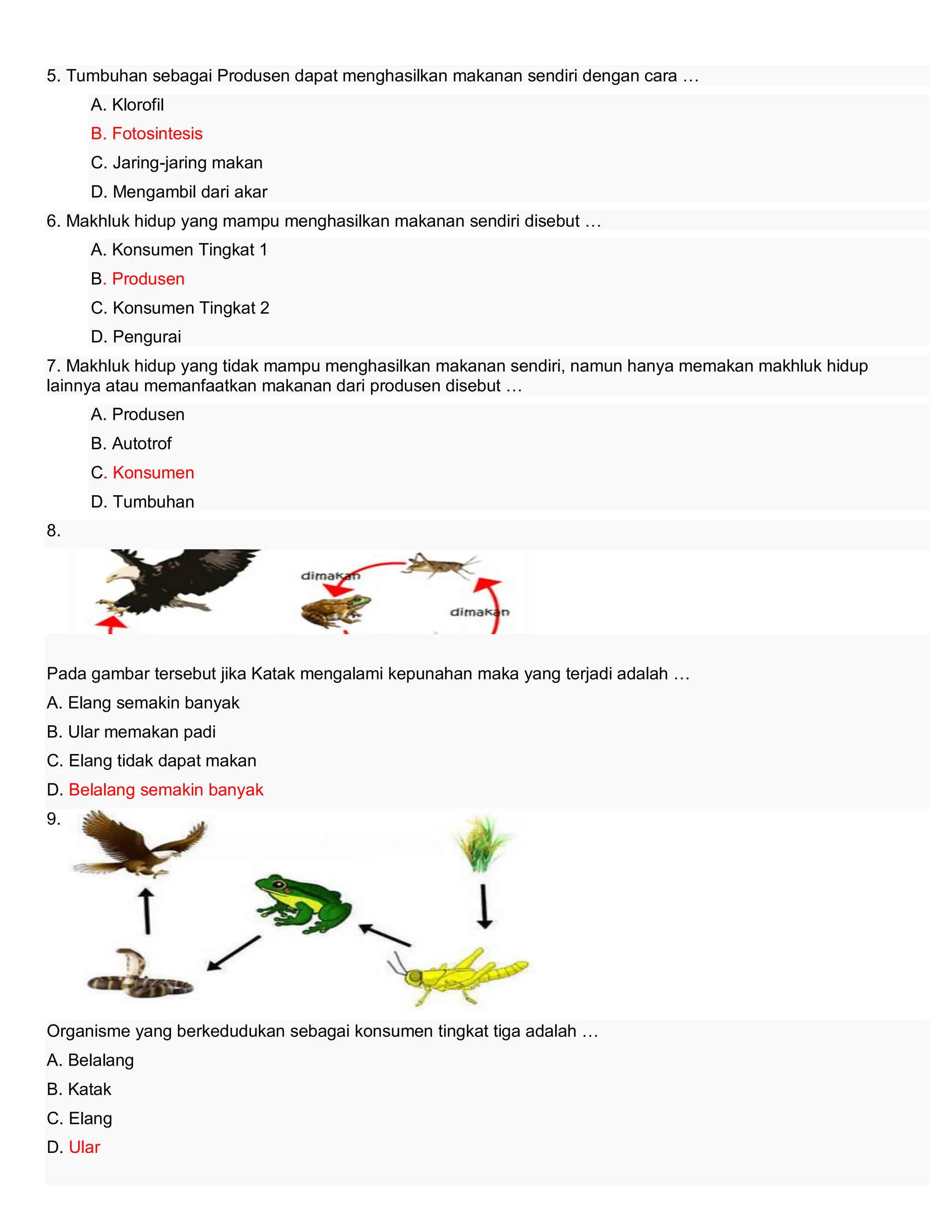 MODUL AJAR IPAS KELAS V Tentang Rantai Makanan dan Ekosistem | PDF