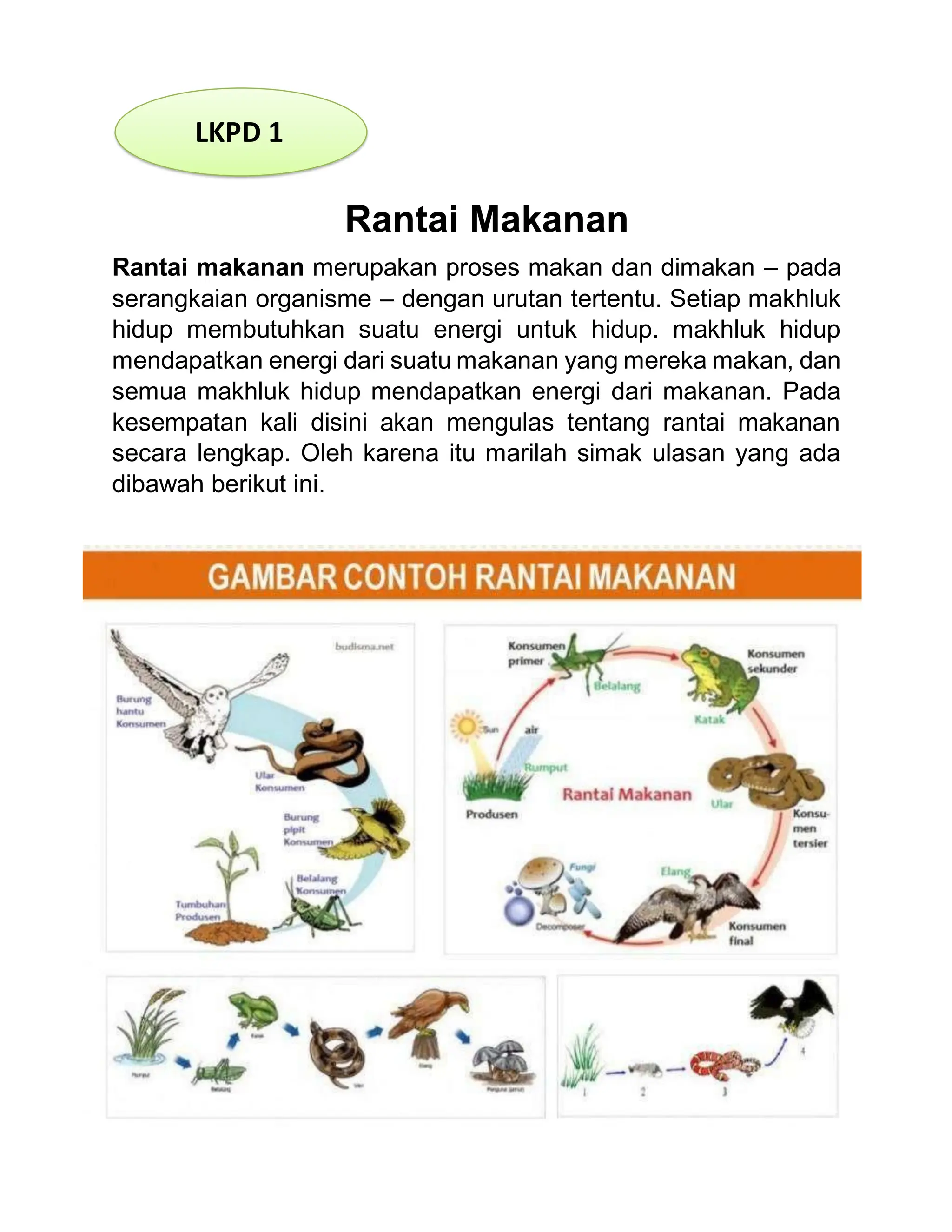 MODUL AJAR IPAS KELAS V Tentang Rantai Makanan dan Ekosistem | PDF