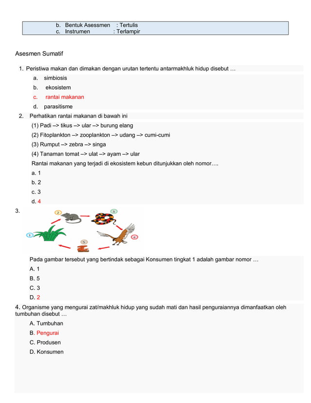 MODUL AJAR IPAS KELAS V Tentang Rantai Makanan dan Ekosistem | PDF