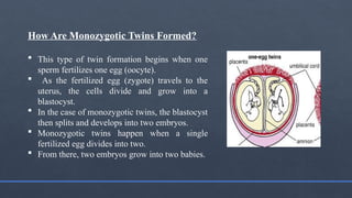 617087293-Monozygotic-twins.pptx identical twins | PPTX