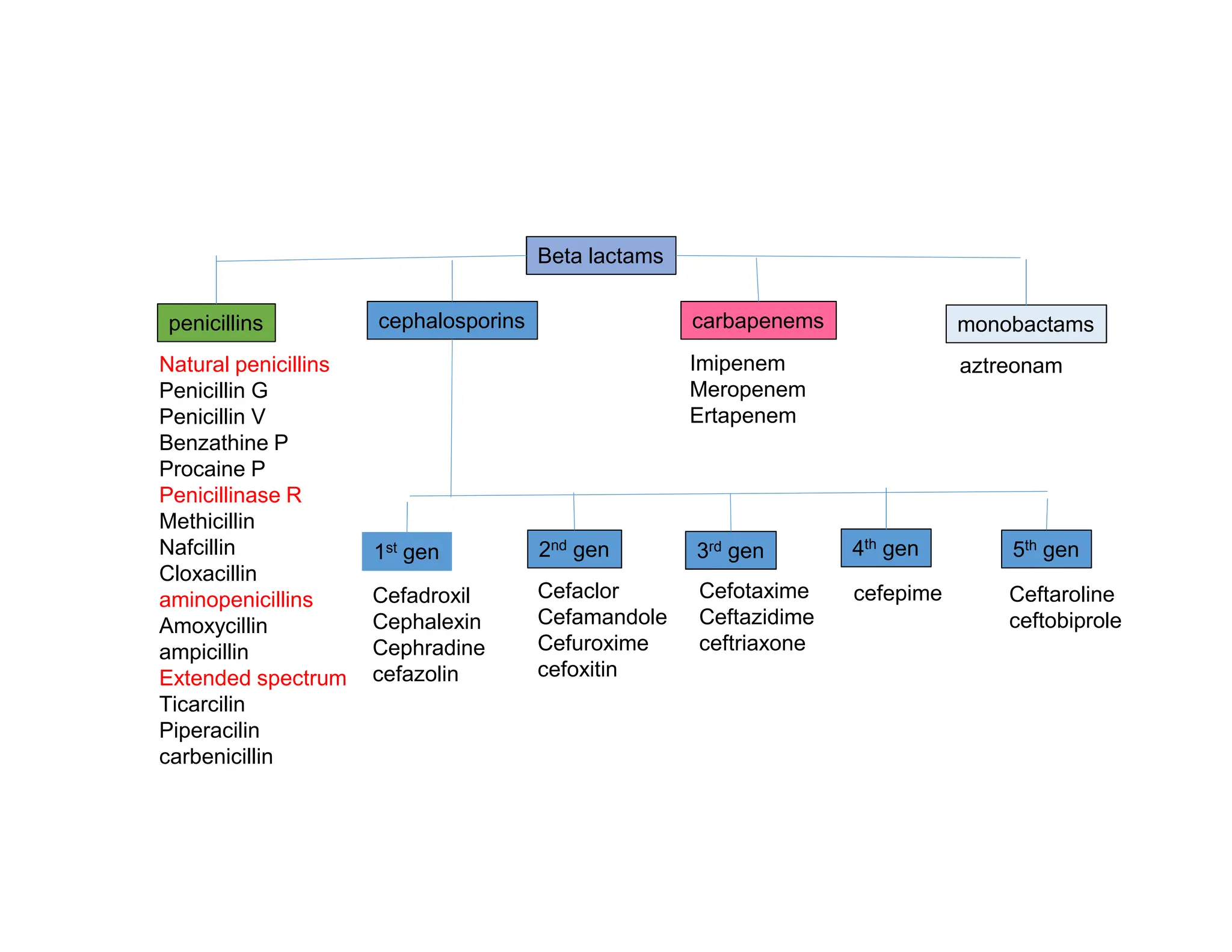 antibiotic_classification_and_mechanisms_mhs.pdf