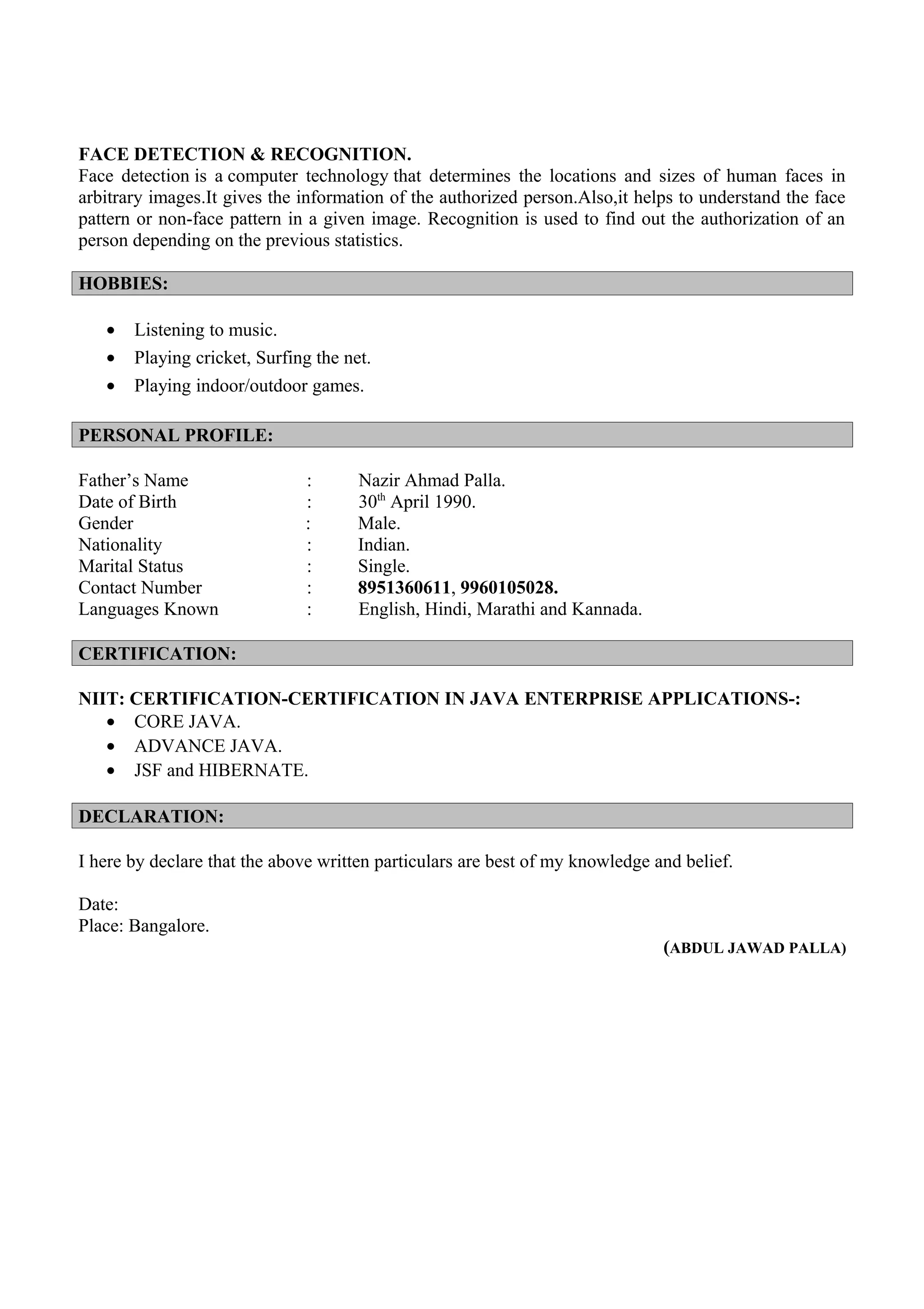 software engineer | PDF