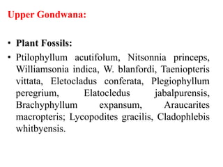 618_Gondwana Super Group.pptx