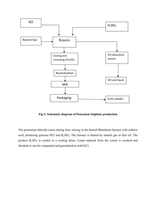 K2So4 & HCl plant | PDF