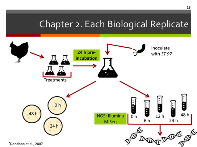 Thesis Defense Presentation | PPTX