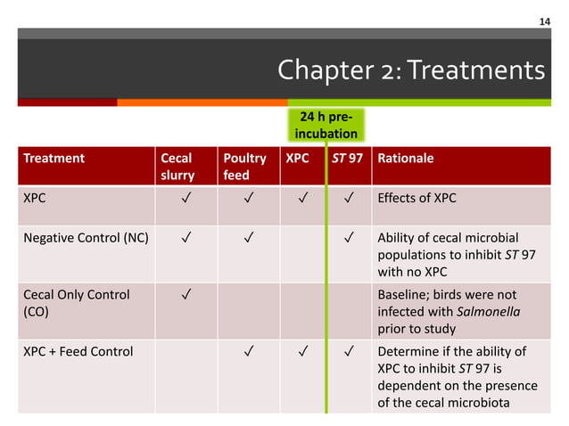 Thesis Defense Presentation | PPTX