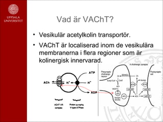 presentation simpos | PPT