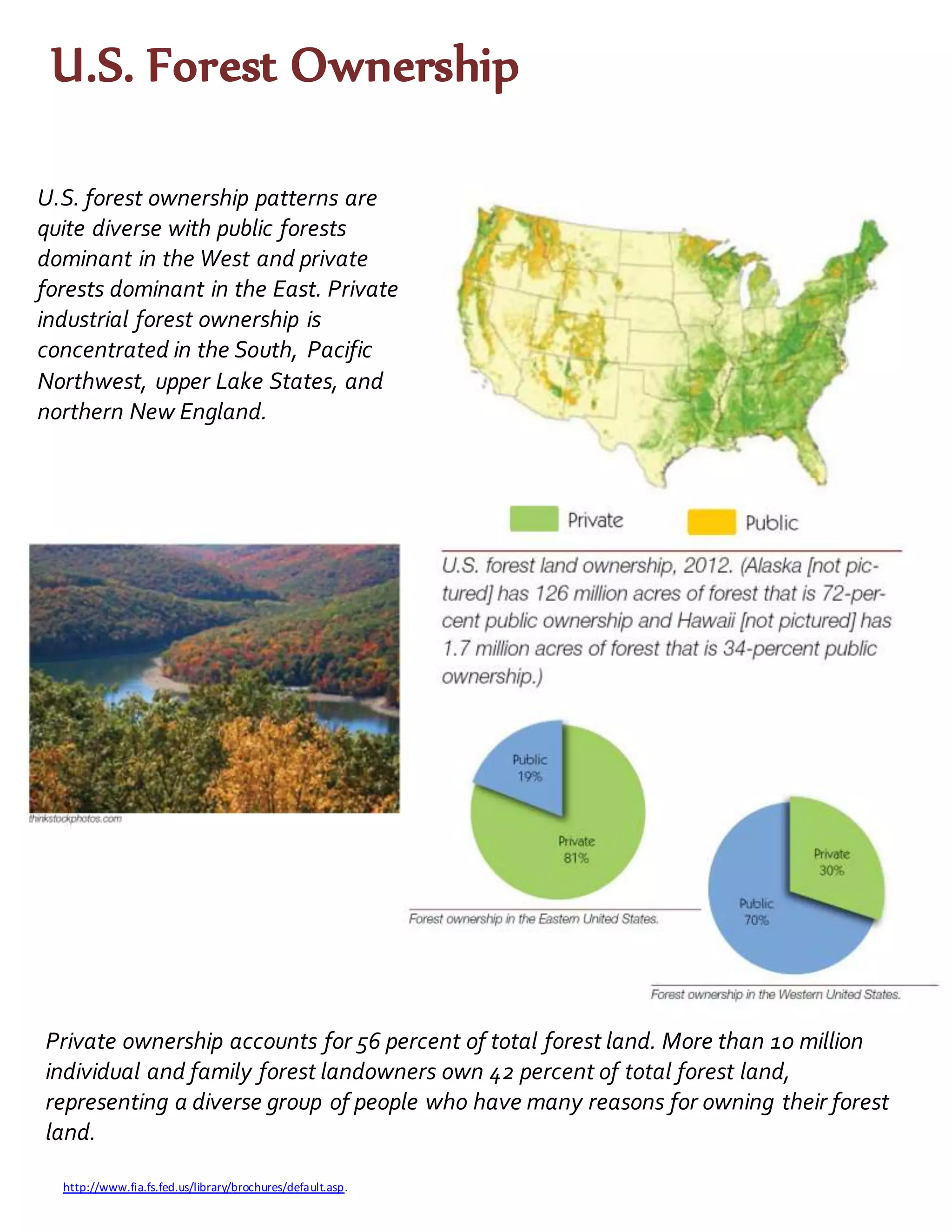 Forest Brochure | DOCX