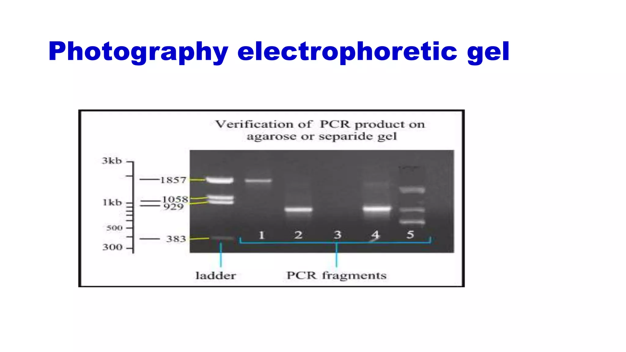 Molecular Methods And Clinical Microbiology Pptx