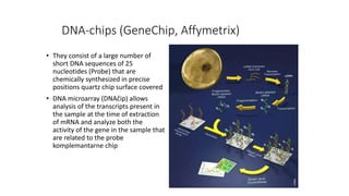 Molecular methods and clinical microbiology | PPTX