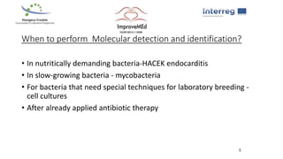 Molecular methods and clinical microbiology | PPTX