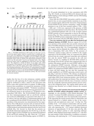 C-Terminal Regions | PDF