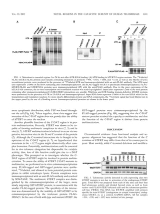 C-Terminal Regions | PDF