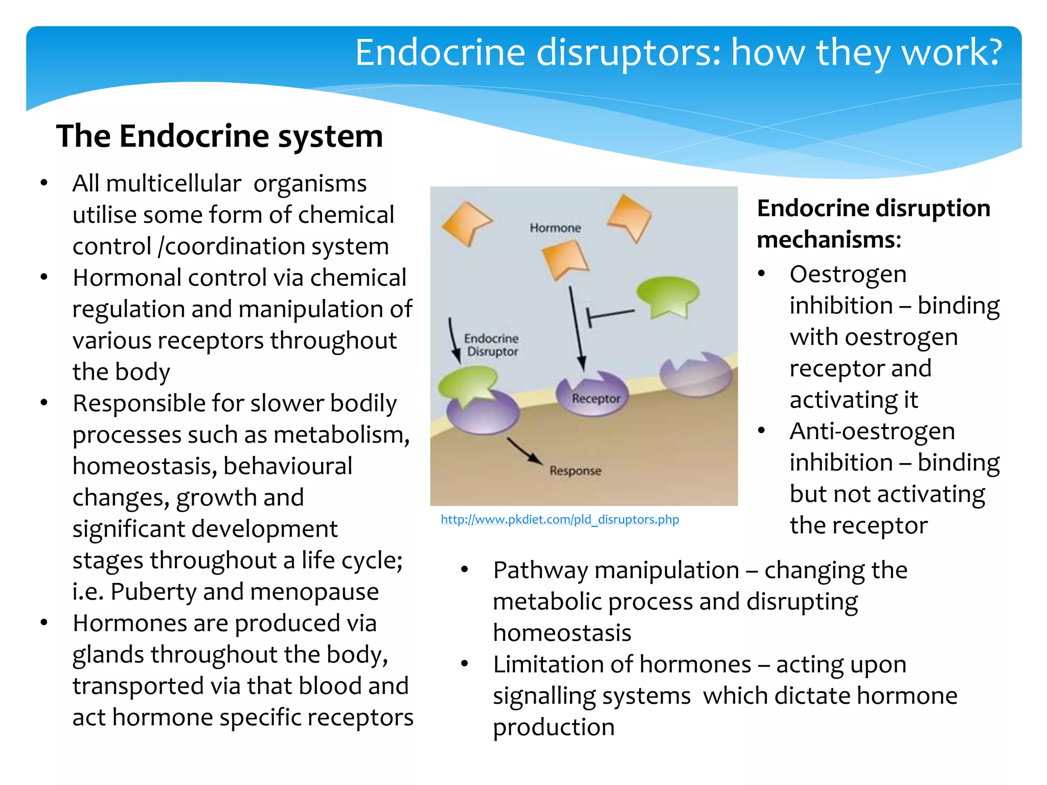 Endocrine disruptors | PPTX