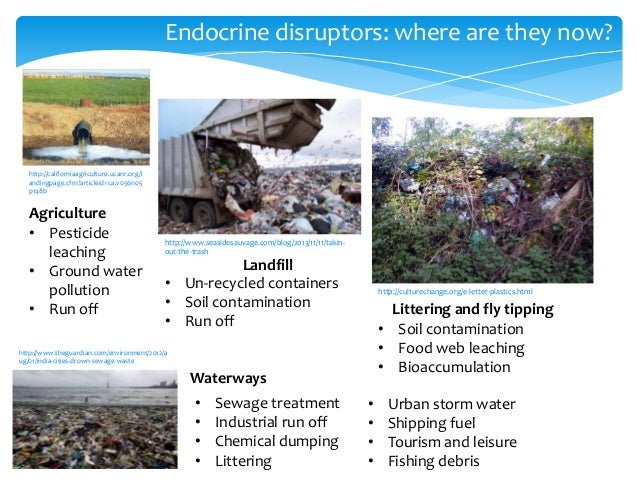 Endocrine disruptors