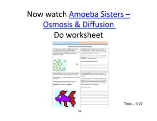 6_1 Osmosis and diffusion powerpoint.pdf