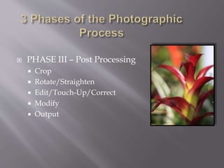Intro to Photography | PPT