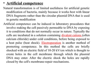 Transfer molecules in genetic engineering PM.pptx