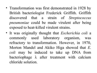 Transfer molecules in genetic engineering PM.pptx