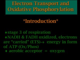 6_2018_12_21!01_04_11_AM ELECTRON TRANSPORT AND OXIDATIVE ...