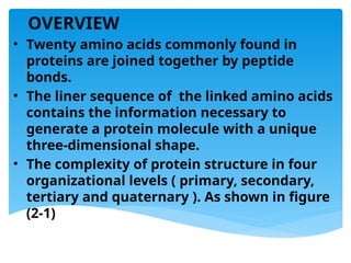 Chemistry of protein definition and explanation | PPTX