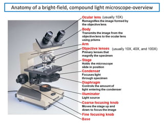 microscope | PPT