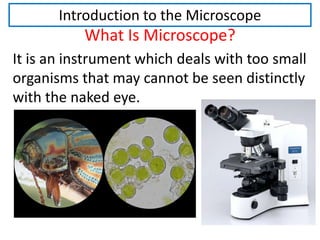 microscope | PPT