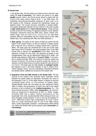 dna structure replication and transcription | PDF